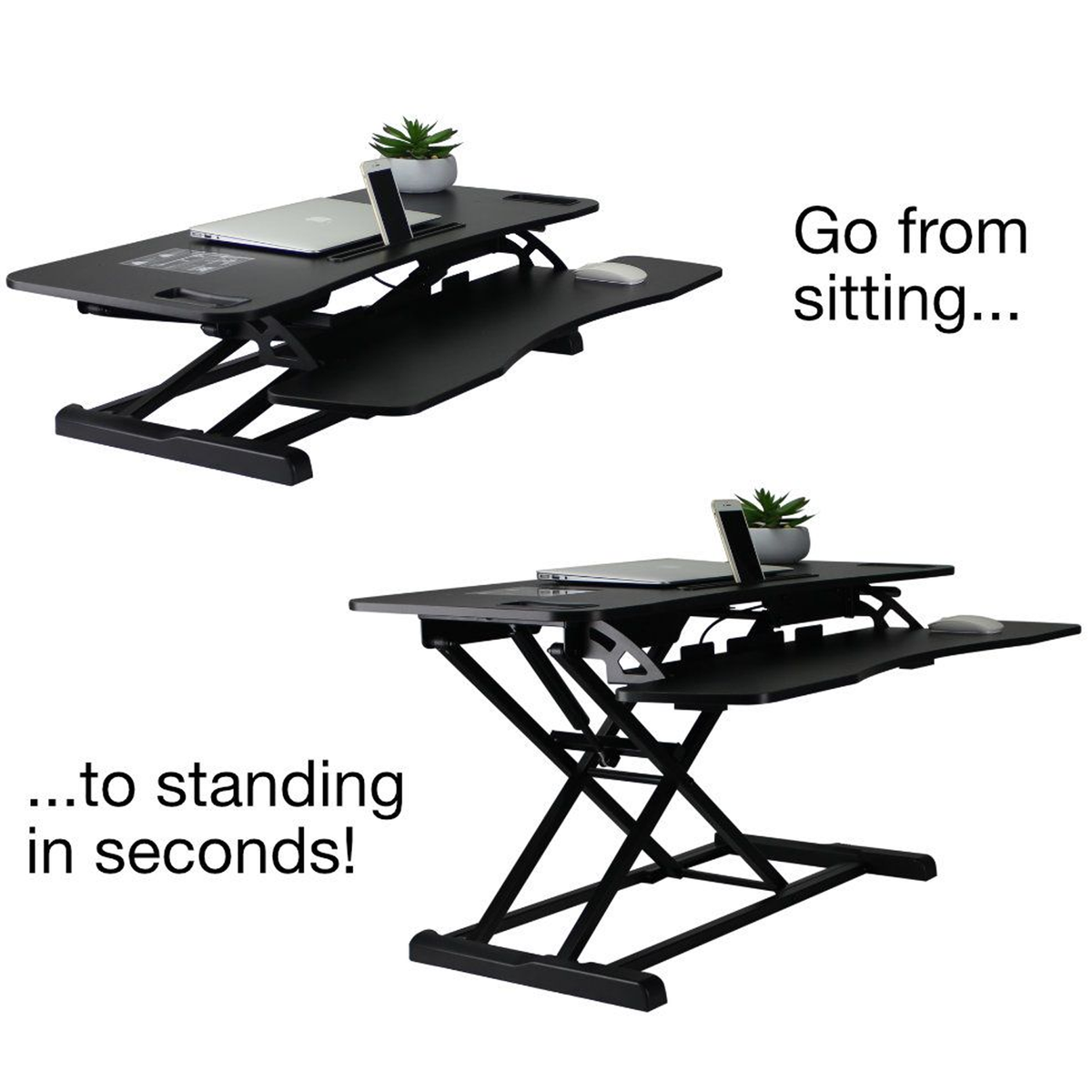 Anthrodesk standing desk store